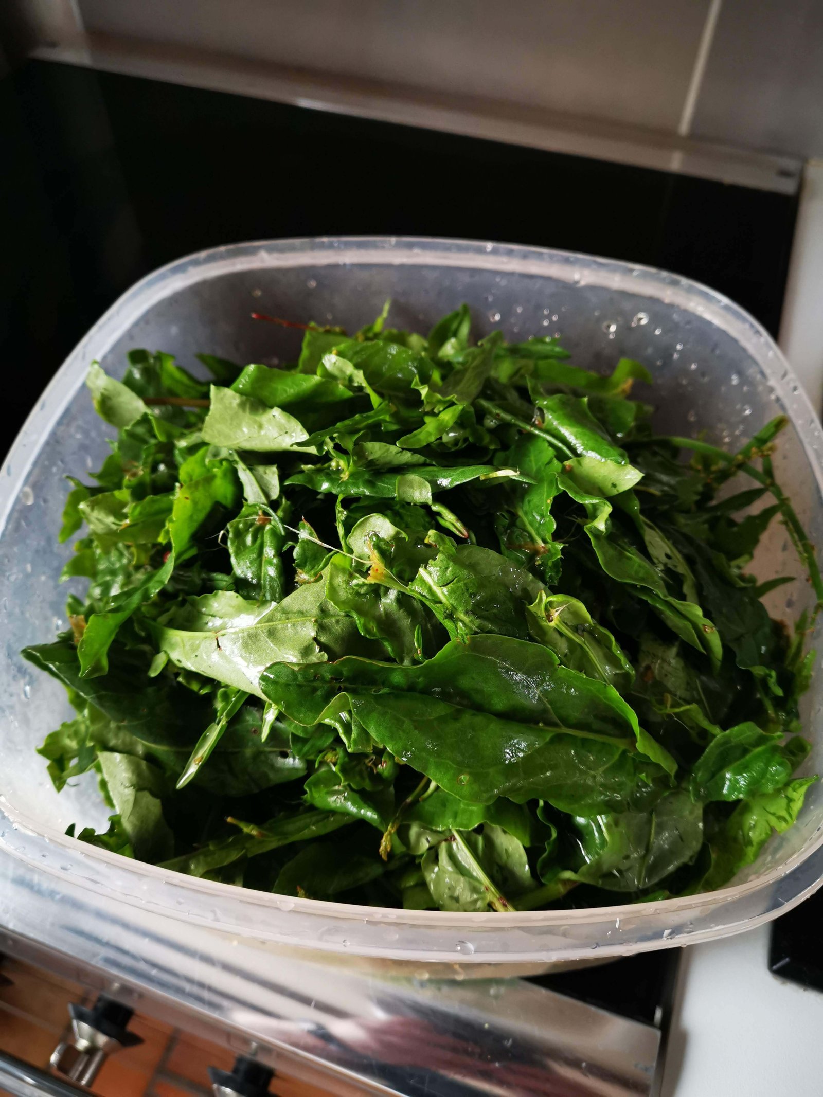 Comment Faire Du Verjus à L'oseille ? - Recette Médiévale