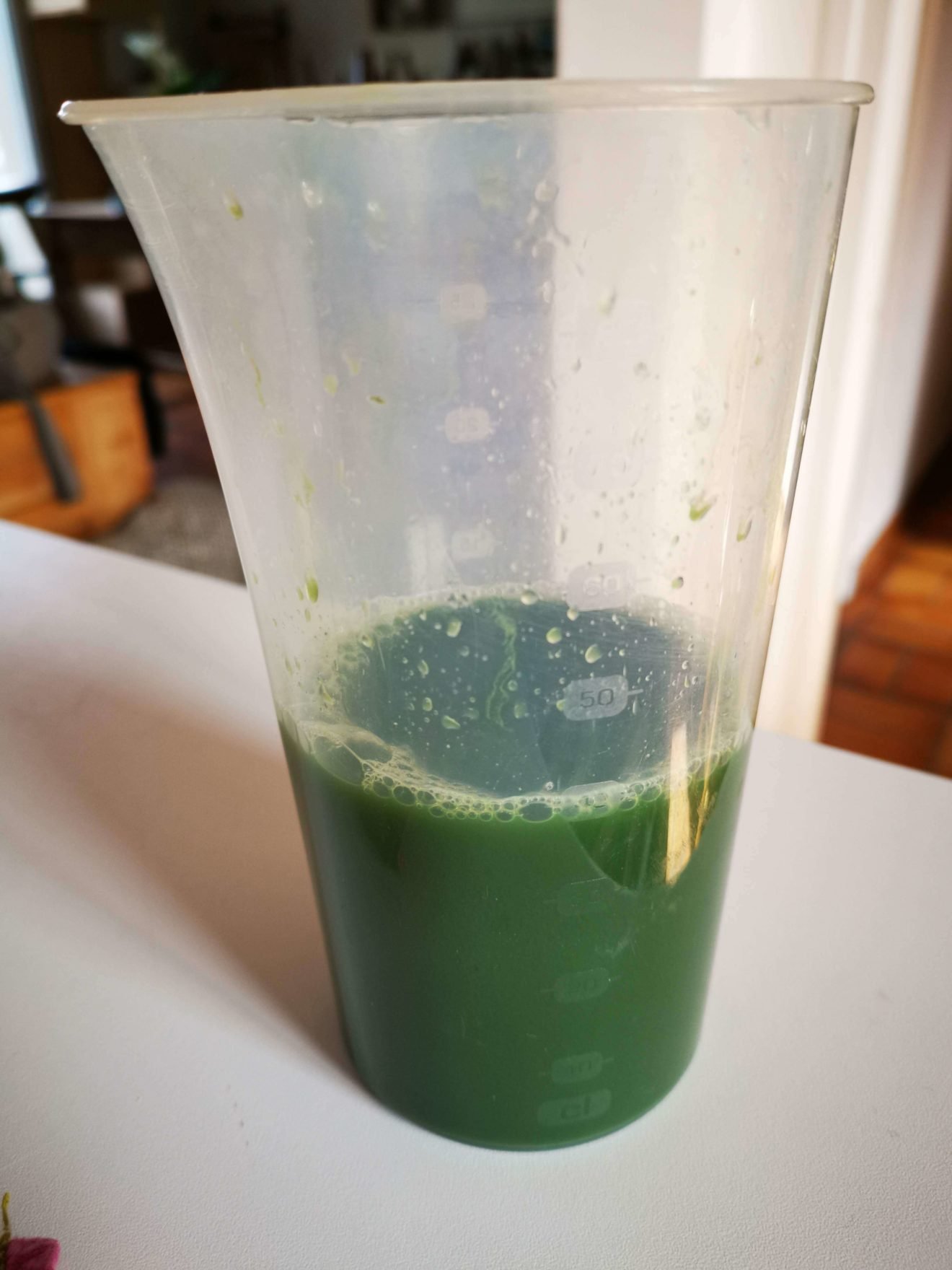 Comment Faire Du Verjus à L'oseille ? - Recette Médiévale