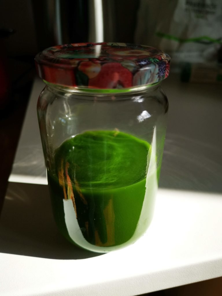 Comment Faire Du Verjus à L'oseille ? - Recette Médiévale